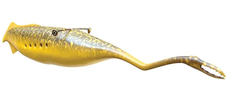 Mazon Monday #199: The Enigmatic Tully Monster (or the Lesser Orm of ...